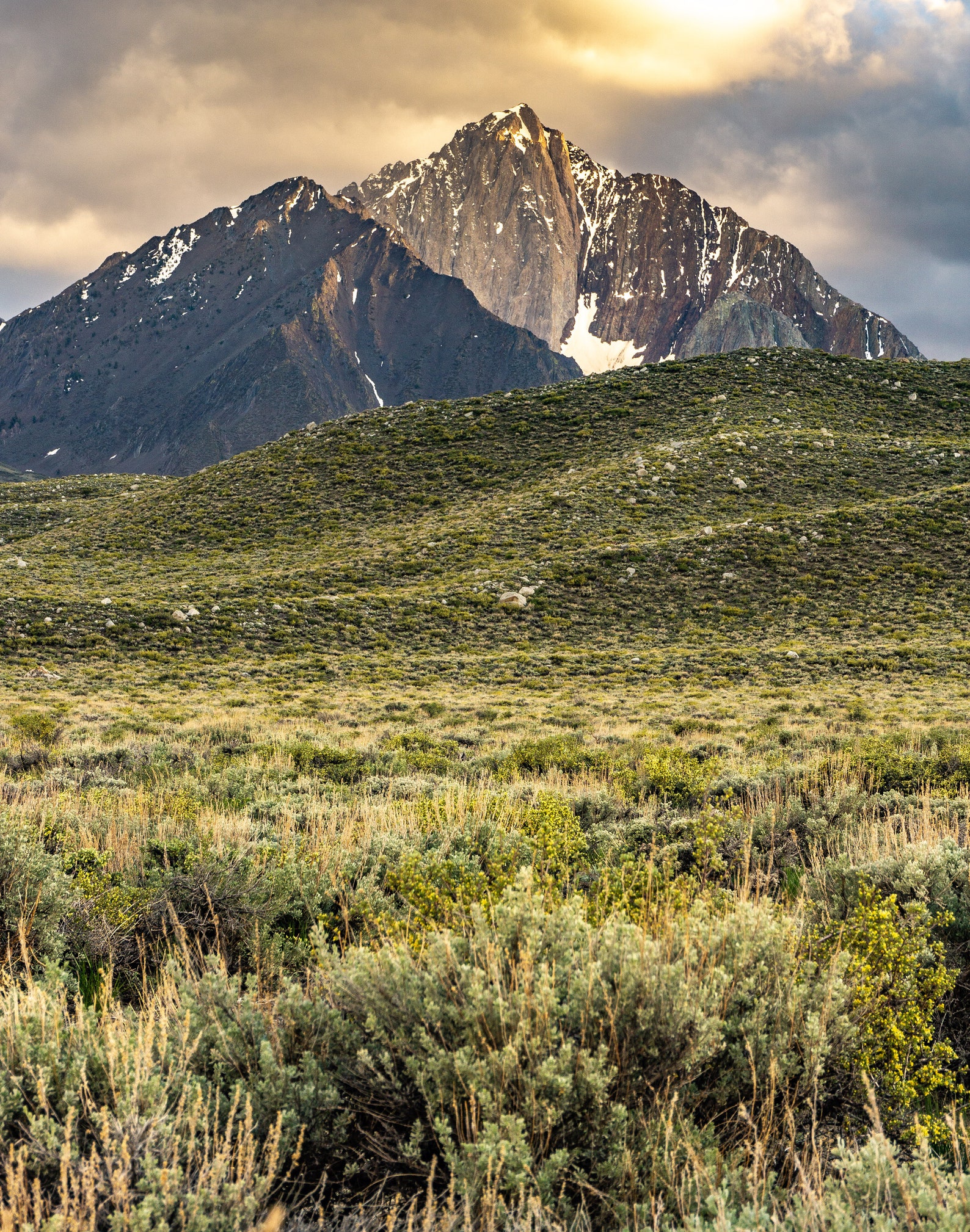 Mount Morrison Golden Hour Near Mammoth Lakes sunset Mammoth - Etsy UK