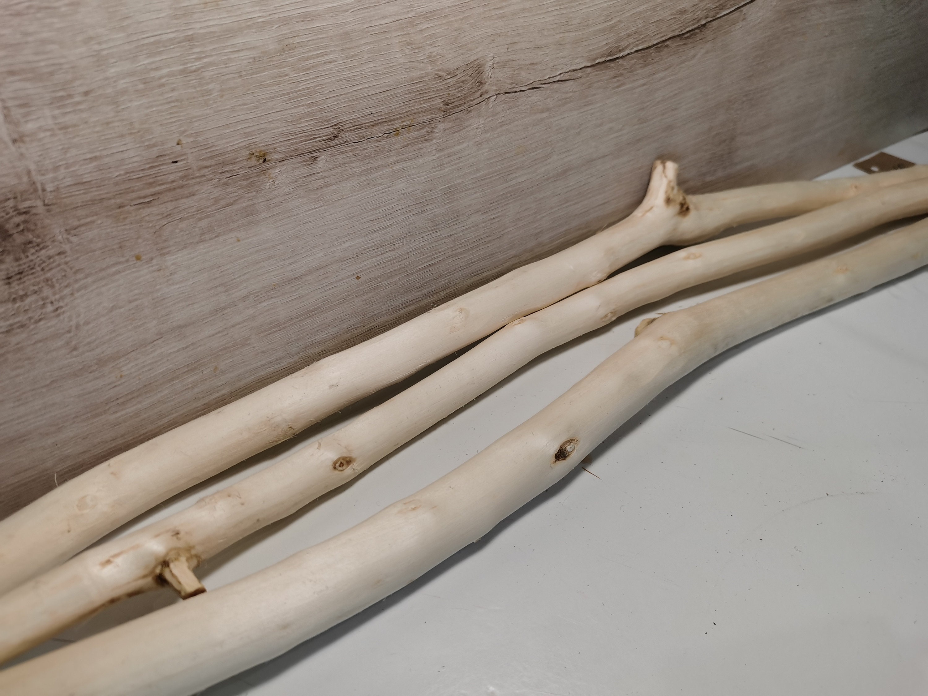 White stick 3pcs White branches Wooden decor Aspen | Etsy