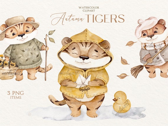 Cute Tiger Watercolor Clipart Autumn Tiger Tigers Drawing | Etsy