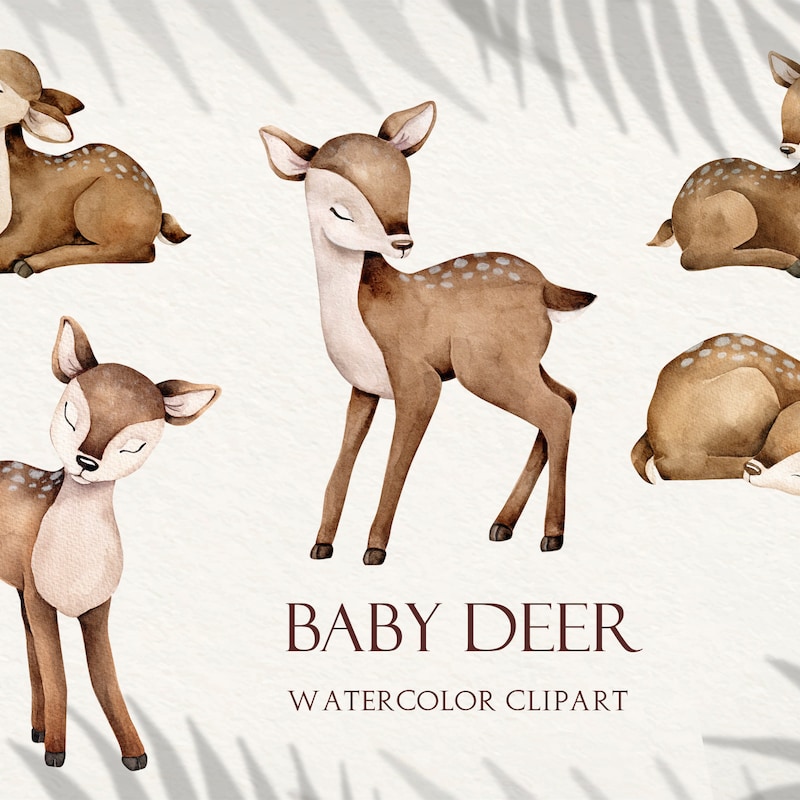 Baby Deer Art - Etsy