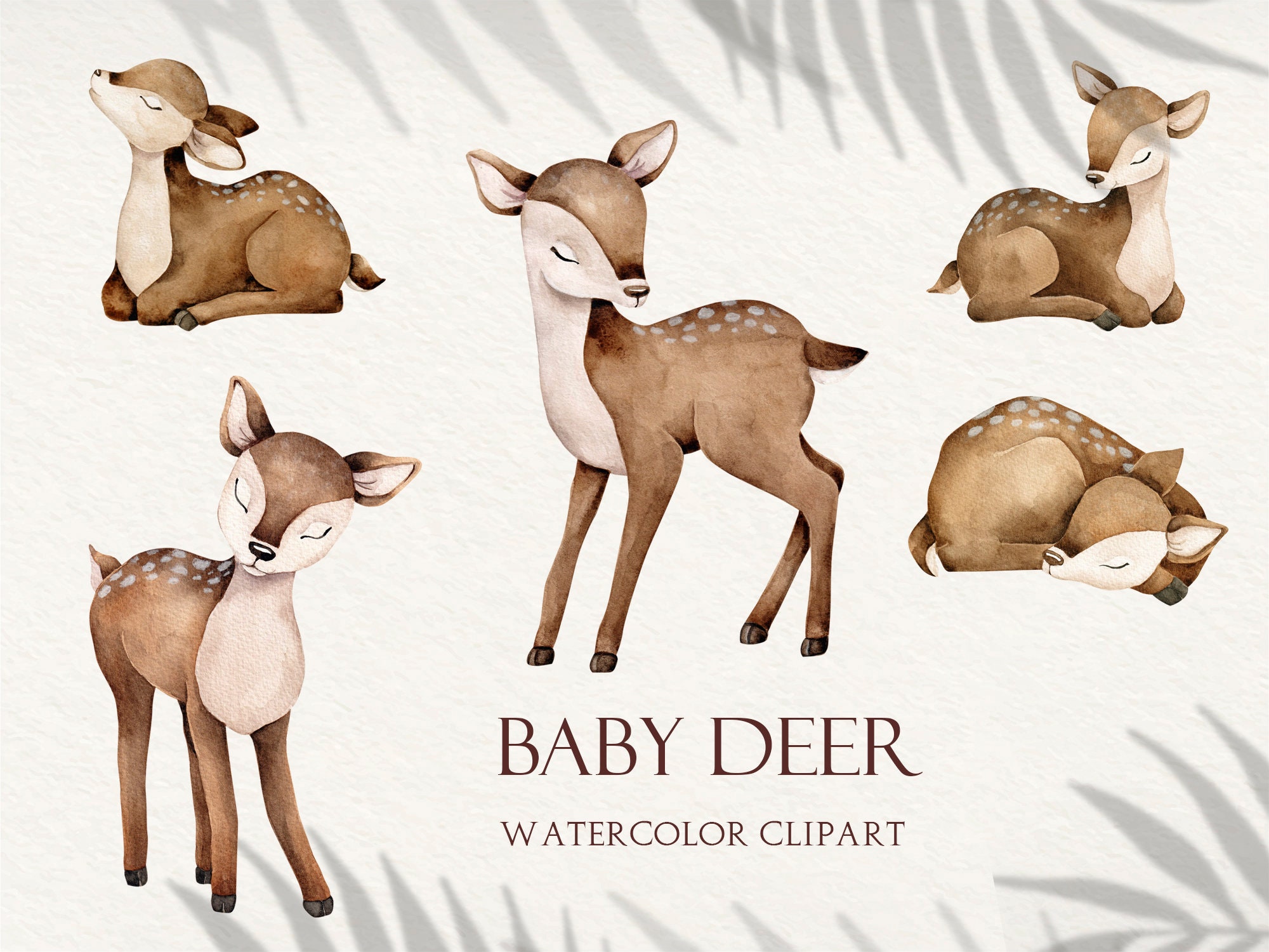 Baby Deer Watercolor Animal Clipart Nursery Art Kids | Etsy