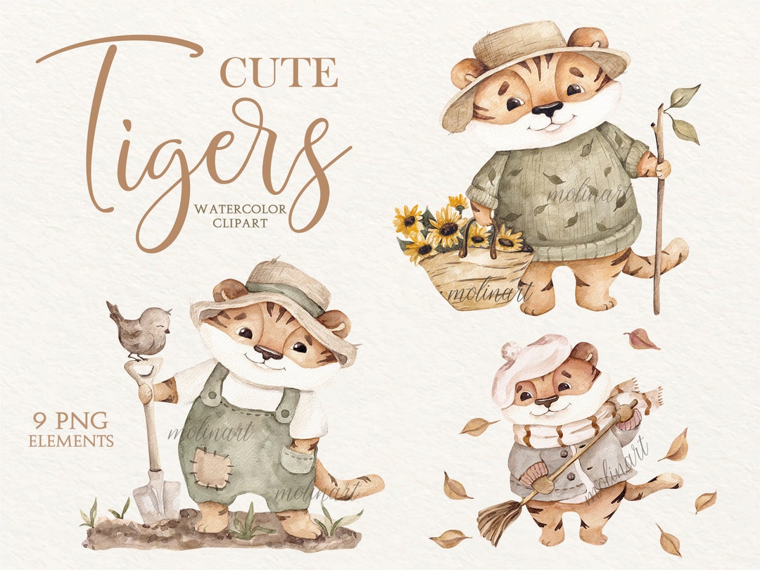 Cute Tiger Watercolor Clipart, Watercolor Tigers, Tigers Drawing, Cute ...