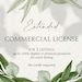 Extended Commercial License for ONE Clipart Set. No Credit Required - Etsy