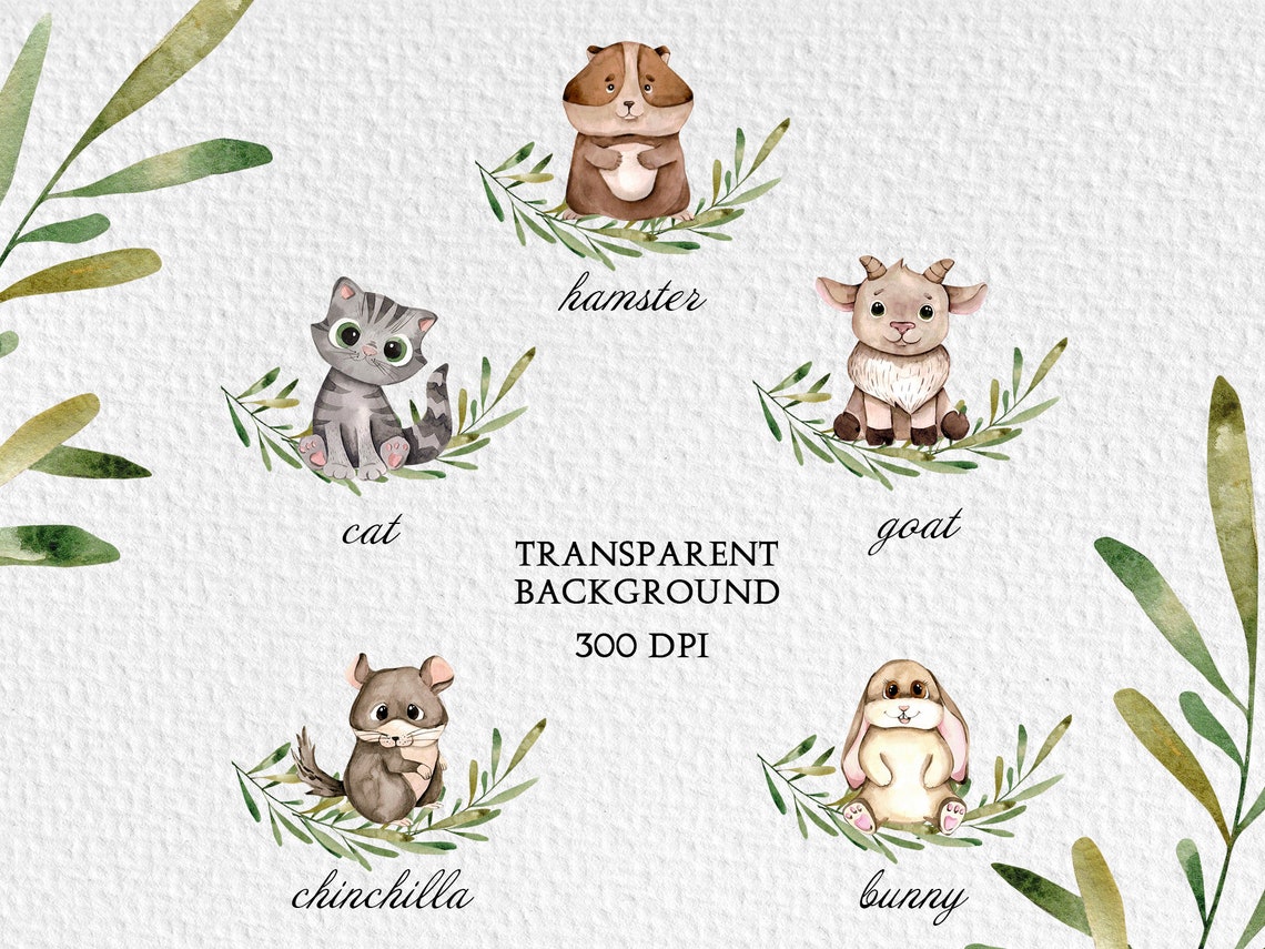 Cute Animals Watercolor Clipart. Animal Cartoon Cat Bunny | Etsy