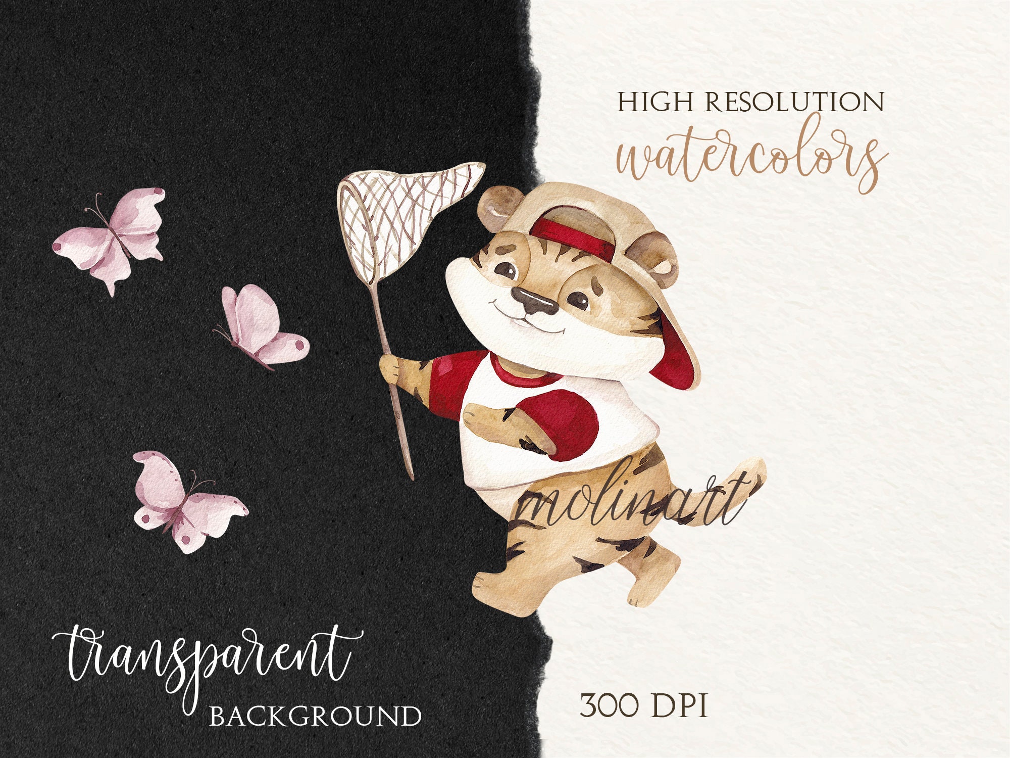 Cute Tiger Watercolor Clipart Spring Tiger Tigers Drawing - Etsy