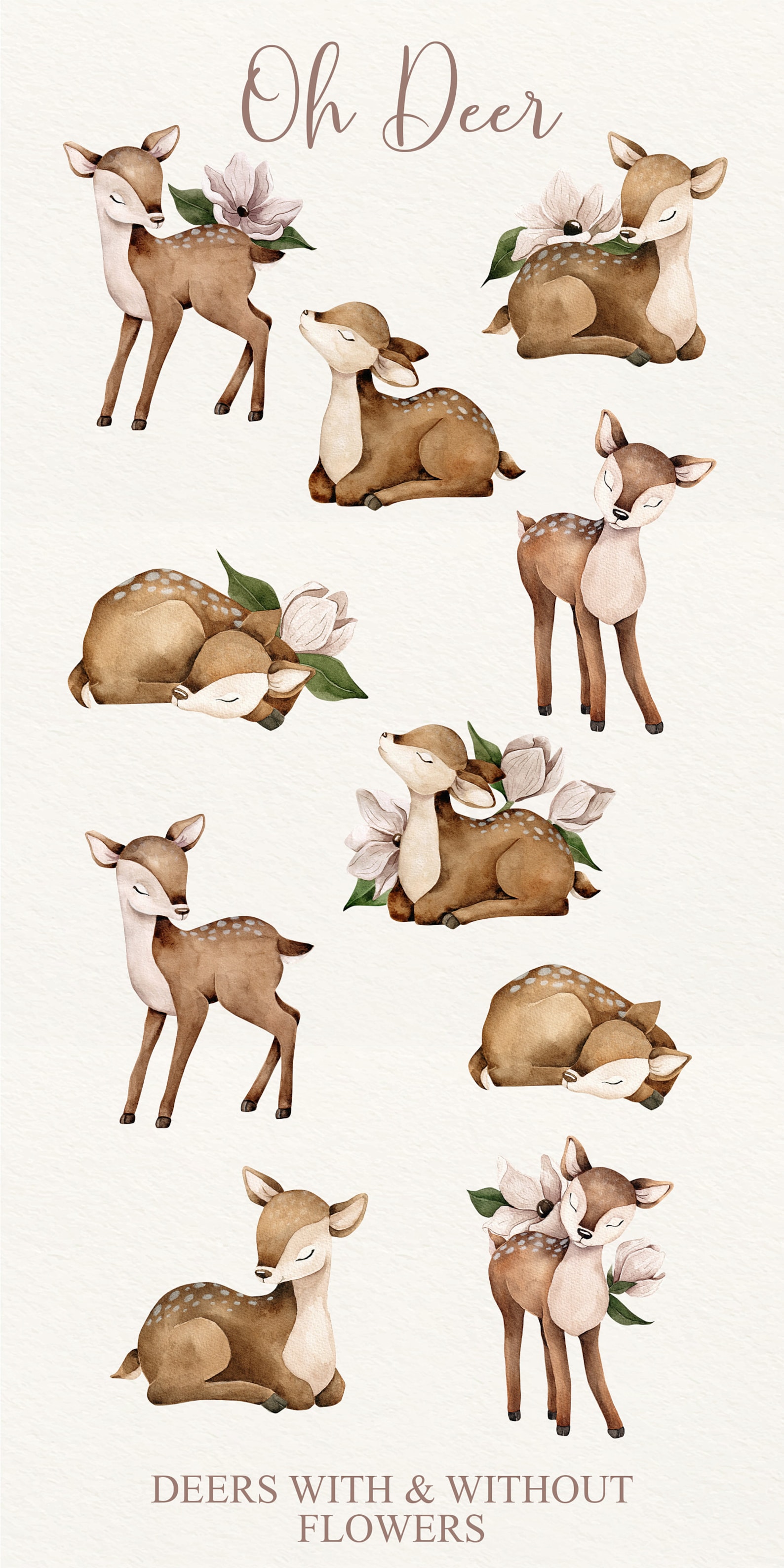 Watercolor Deer Clipart Animal Clipart Boho Floral Nursery - Etsy