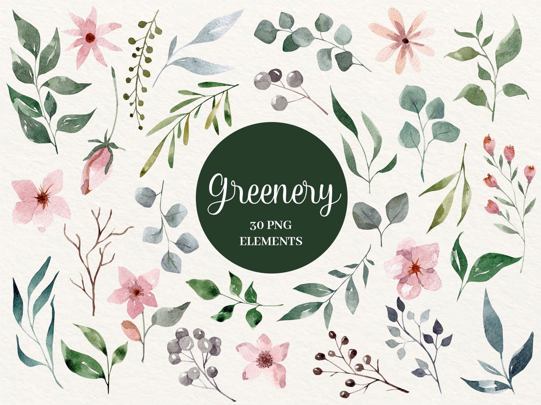 Watercolor Greenery Clipart. Foliage Green Eucalyptus Greens DIY ...