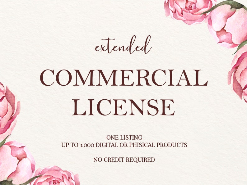 Extended Commercial License for ONE clipart set. No credit | Etsy