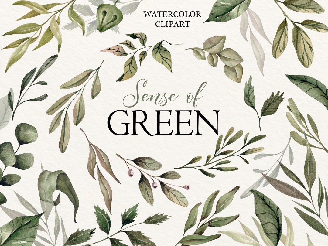 Watercolor Greenery Clipart: Floral Frames & Leaves (digital Download ...