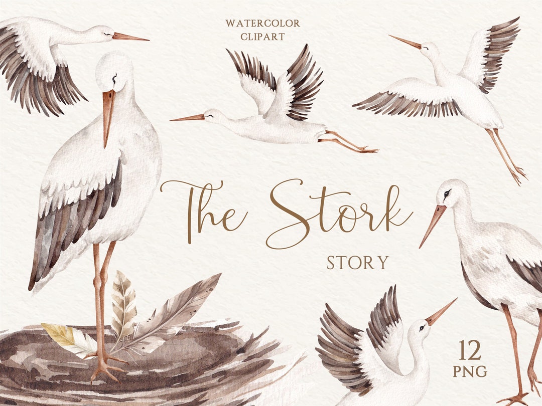 Watercolor Stork Clipart Set: Flying Birds, Feathers, Nest (digital ...