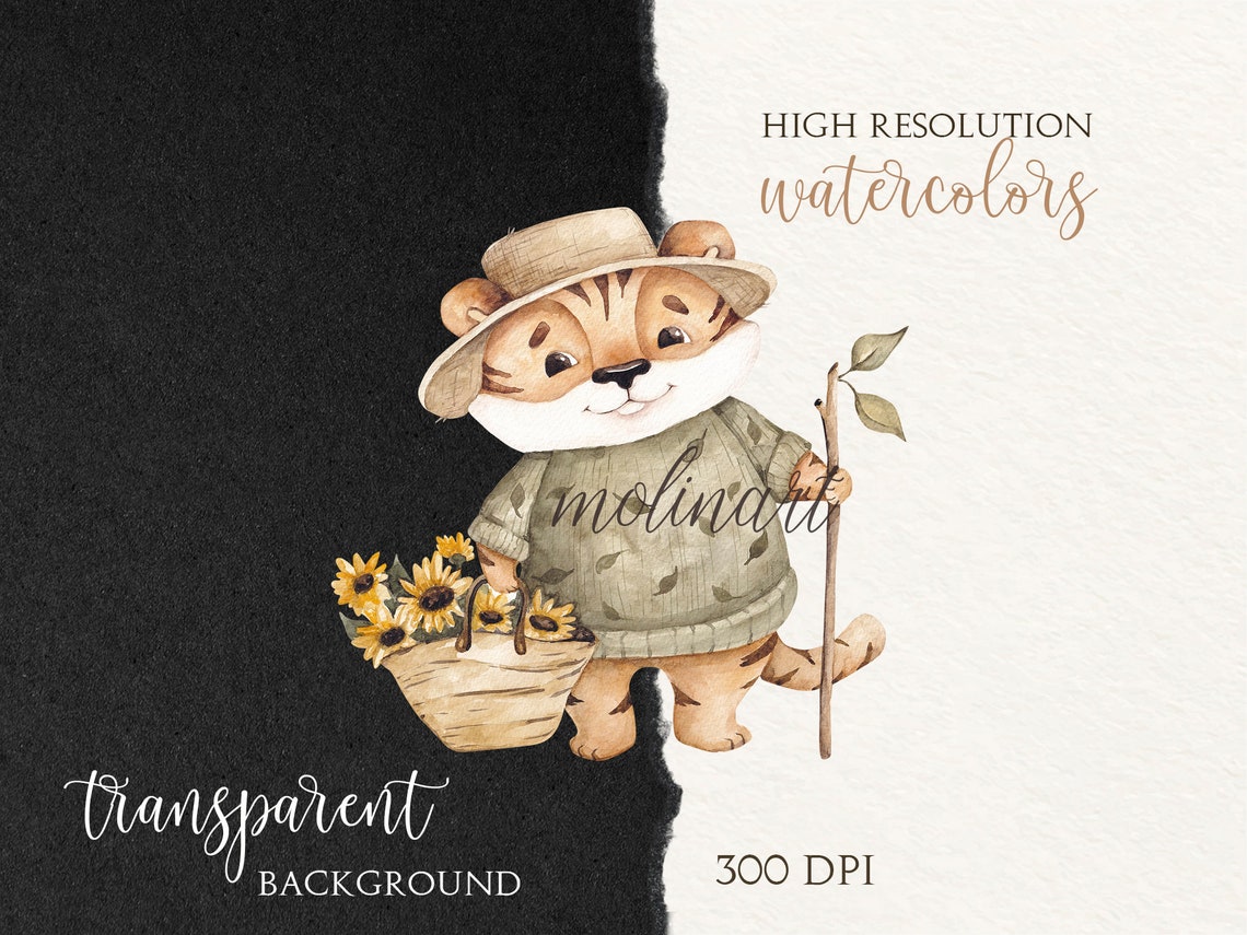 Cute Tiger Watercolor Clipart Autumn Tiger Tigers Drawing - Etsy