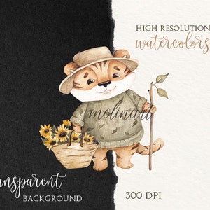 Cute Tiger Watercolor Clipart, Autumn Tiger, Tigers Drawing, Cute ...