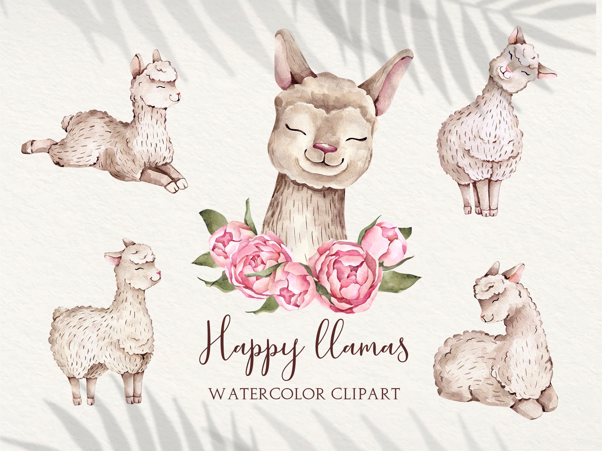 Baby Llama Clipart