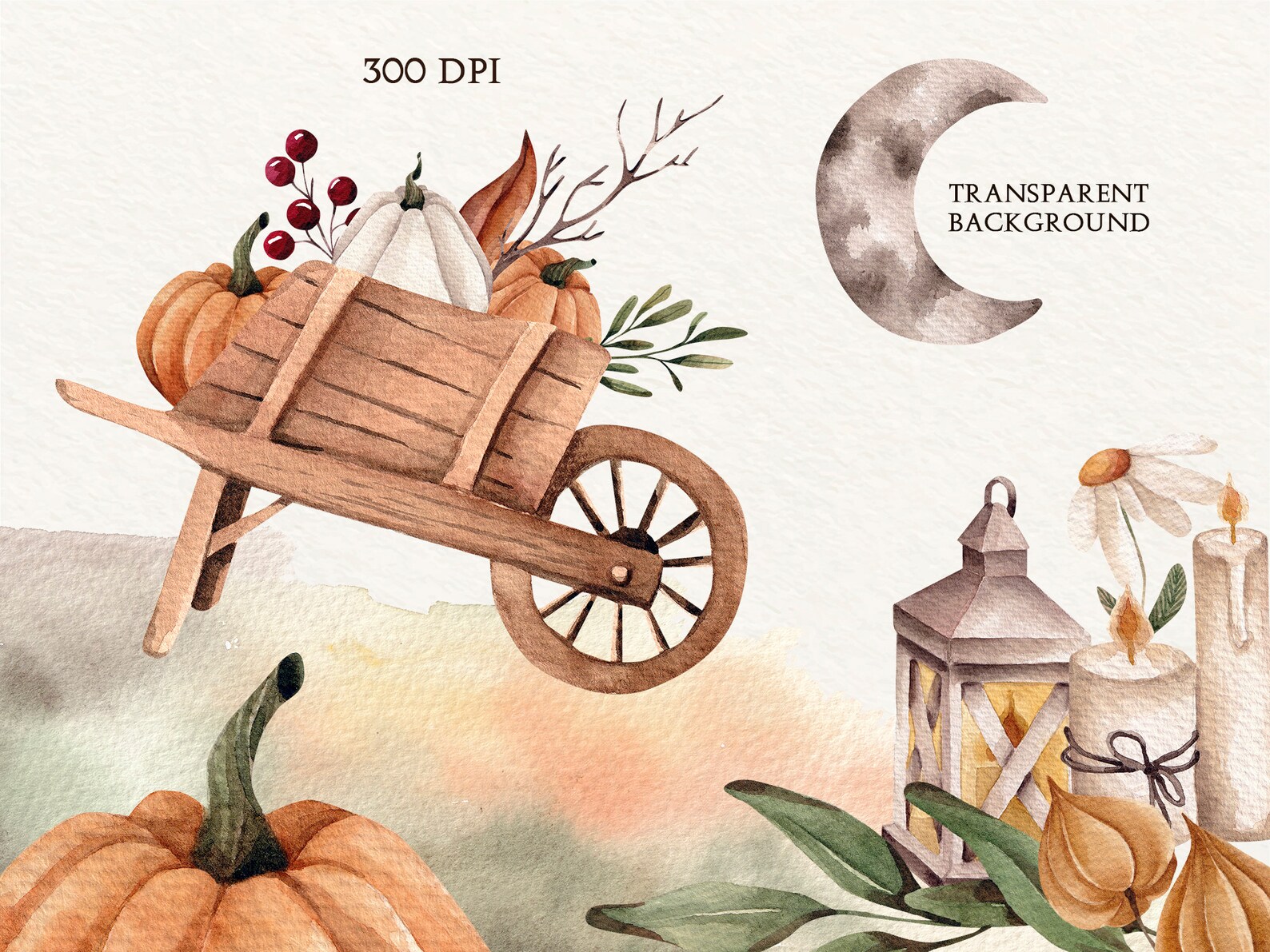 Autumn Watercolor Clipart: Fall Leaves, Bunny, Birds (PNG Files) - Etsy