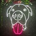 Custom Samoyed Neon Sign: Dog Portrait LED Wall Decor - Etsy