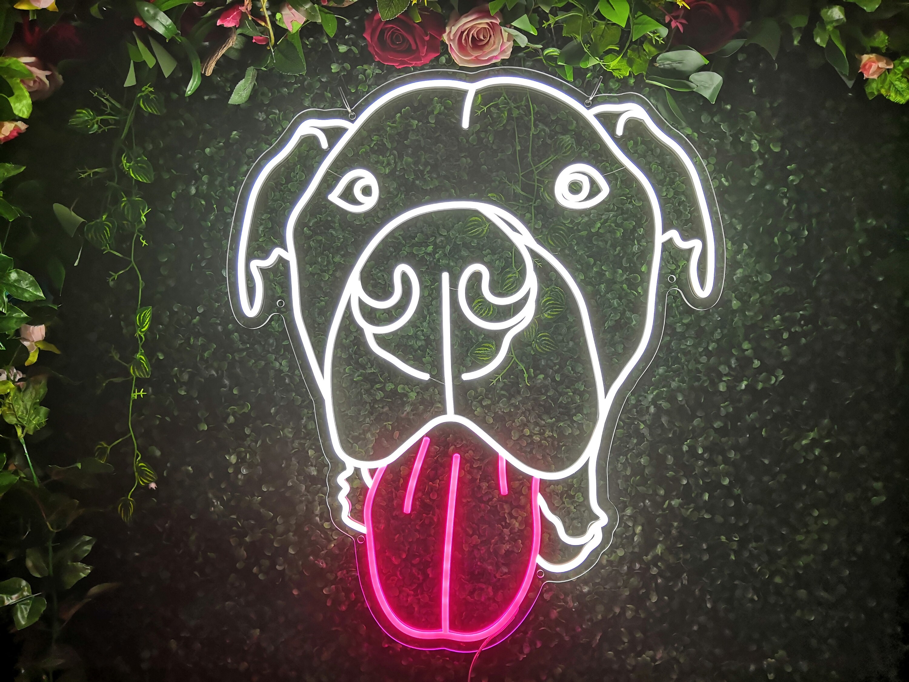 Custom Samoyed Neon Sign: Dog Portrait LED Wall Decor - Etsy