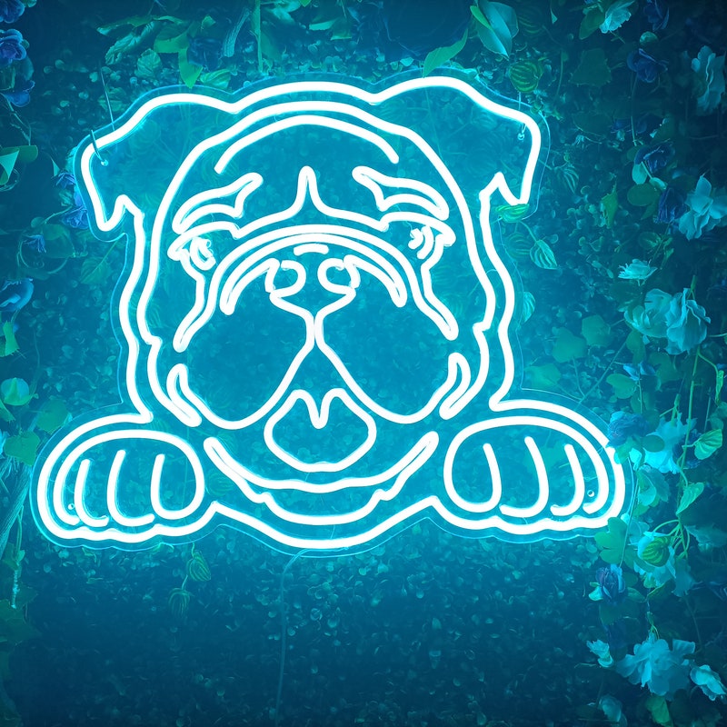 Pet Neon Signs - Etsy