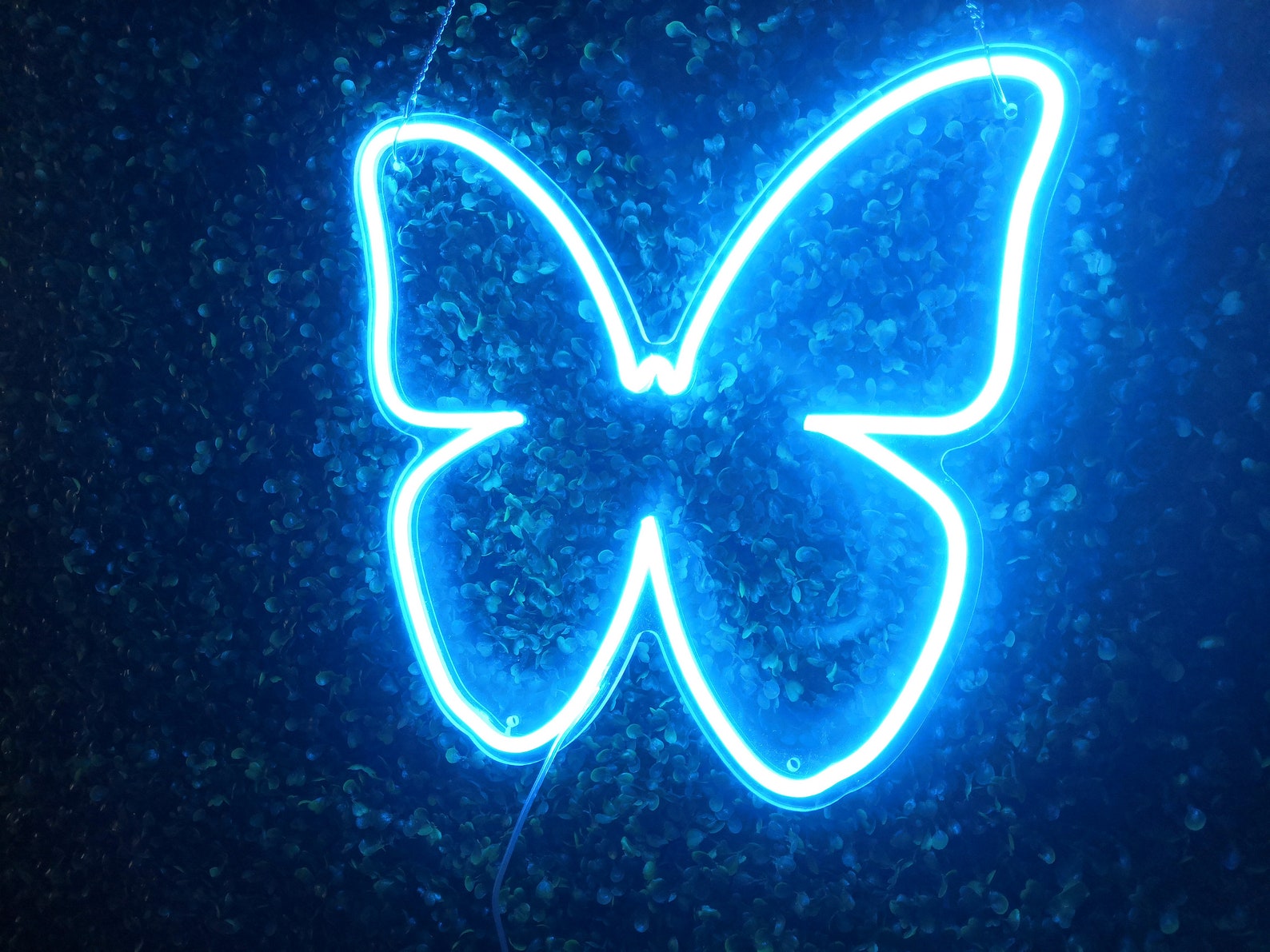 Butterfly Neon Light Butterfly Neon Sign Butterfly Neon - Etsy