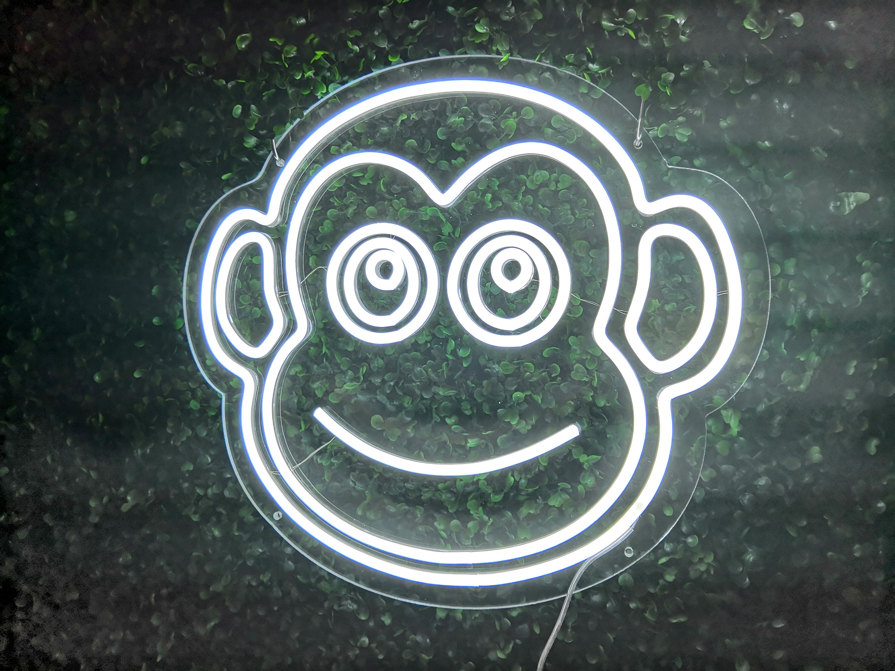 Monkey Face Sign Neon Neon Sign Home Decor Handmade Neon - Etsy UK
