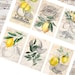 Lemon Watercolor Tags, Lemon Hang Tags, ATC Digital Tags, Digital ...