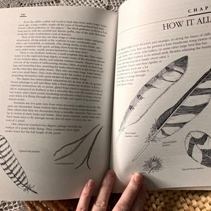 How Birds Fly, by John K Terres, Bird Book, Science Bird Book ...