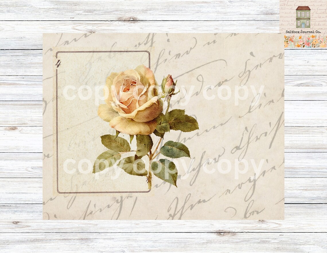 French Rose Journal Pages, Digital Journal Kit, French Script ...