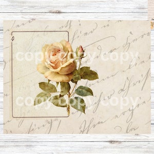 French Rose Journal Pages, Digital Journal Kit, French Script ...