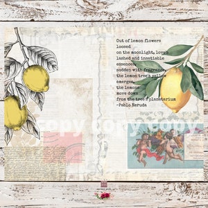 Lemon Junk Journal Pages, Vintage Lemon, Digital Junk Journal Kit ...