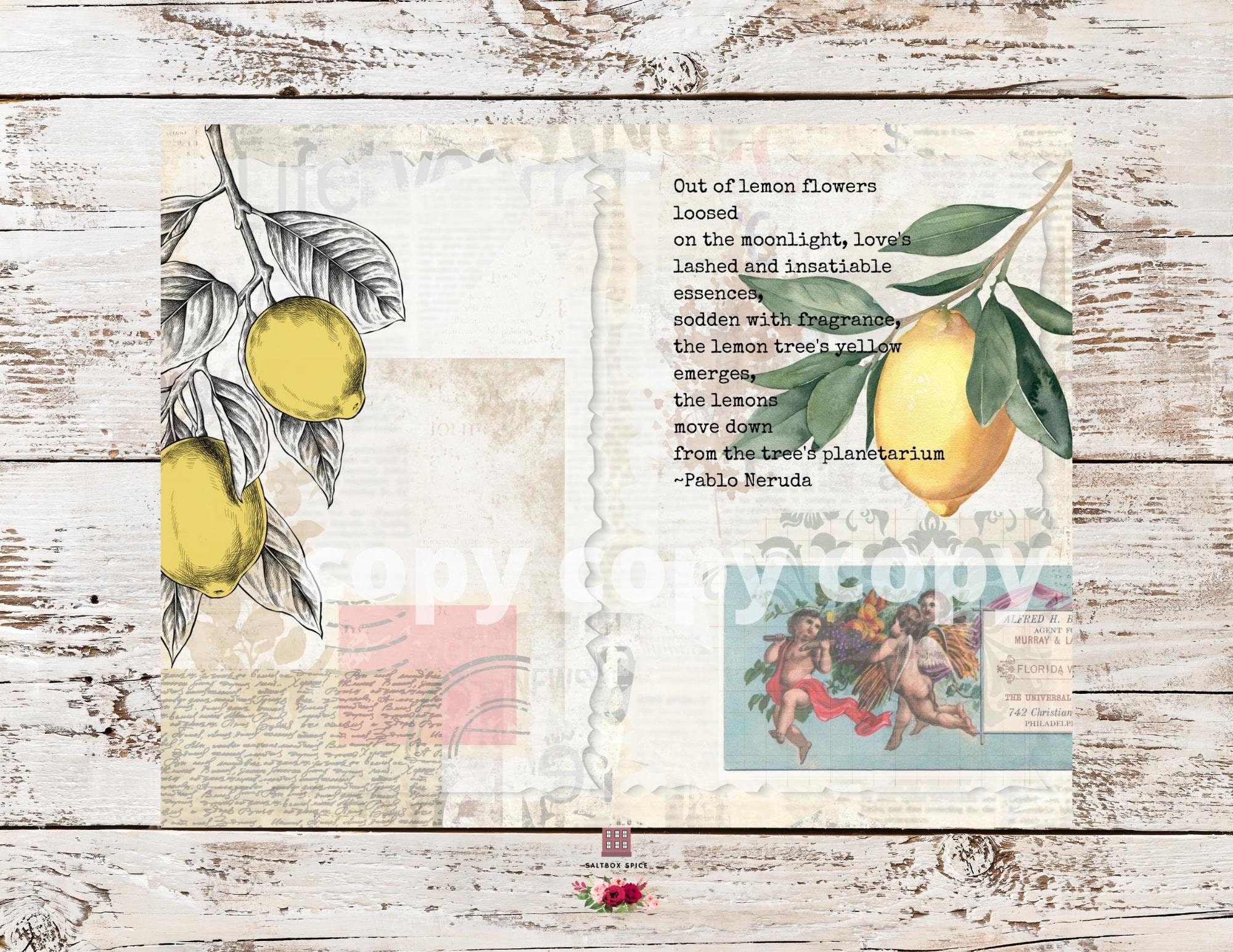 Lemon Junk Journal Pages, Vintage Lemon, Digital Junk Journal Kit ...