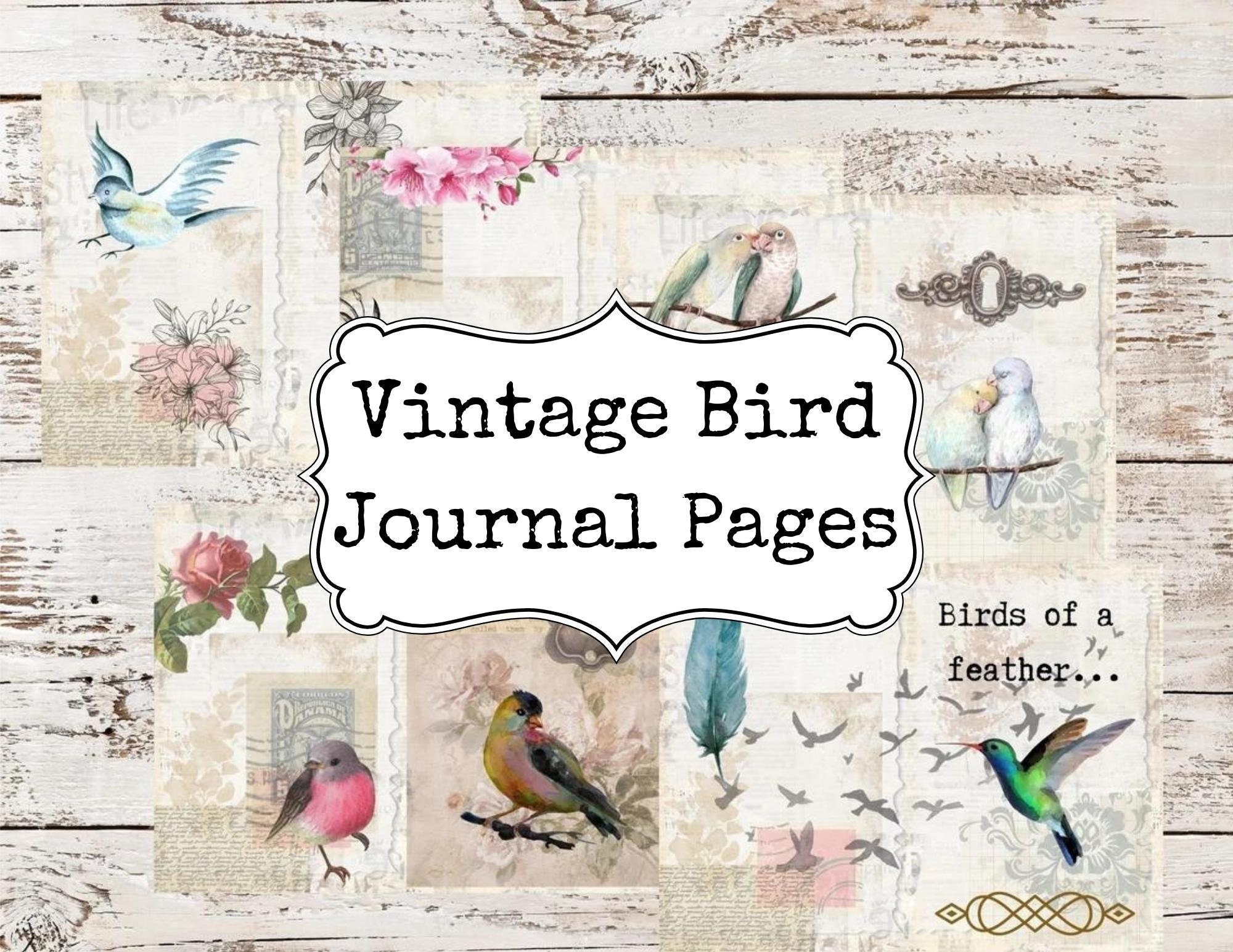 Vintage Bird Junk Journal Pages Printable Bird Journal Pages - Etsy