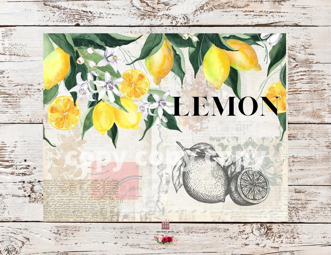 Lemon Junk Journal Pages, Vintage Lemon, Digital Junk Journal Kit ...