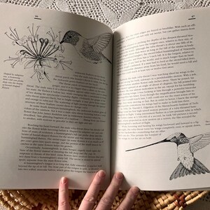 How Birds Fly, by John K Terres, Bird Book, Science Bird Book ...
