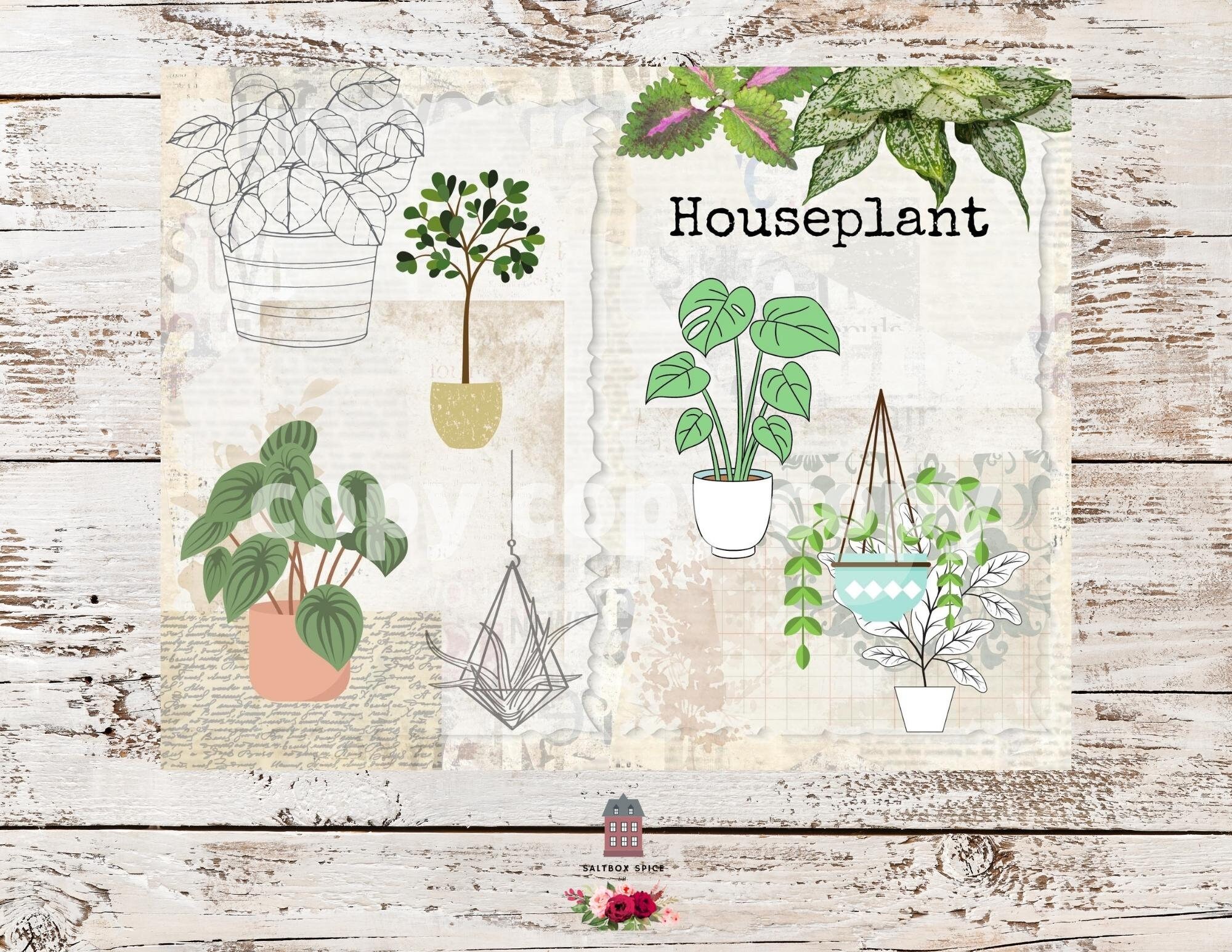 Modern Houseplant Junk Journal Pages, Digital Collage Sheet, House ...