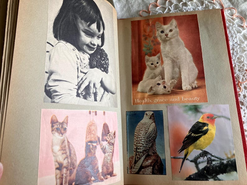 Vintage 1950s–1960s Scrapbook, Magazine Clippings, Mid-century Ephemera ...