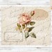 French Rose Journal Pages, Digital Journal Kit, French Script ...