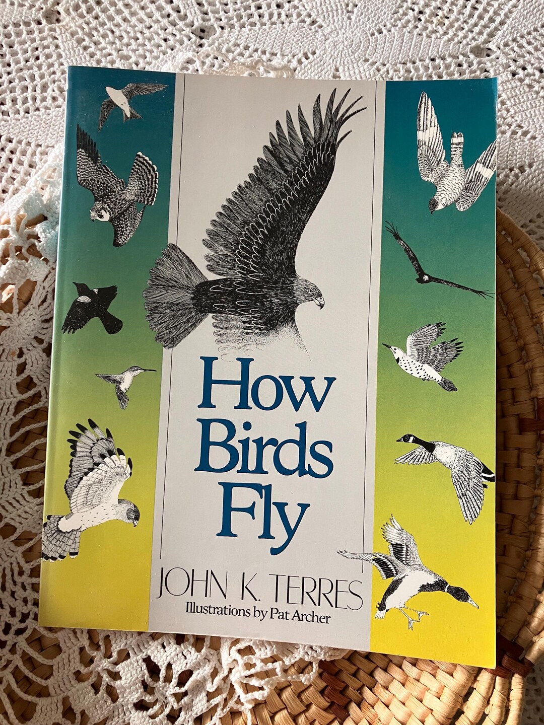 How Birds Fly, by John K Terres, Bird Book, Science Bird Book ...
