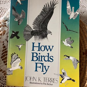 How Birds Fly, by John K Terres, Bird Book, Science Bird Book ...
