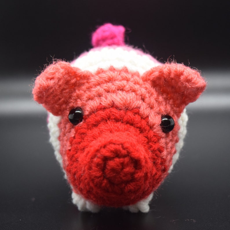 Lesbian Pride Pig Crochet Pattern | Etsy