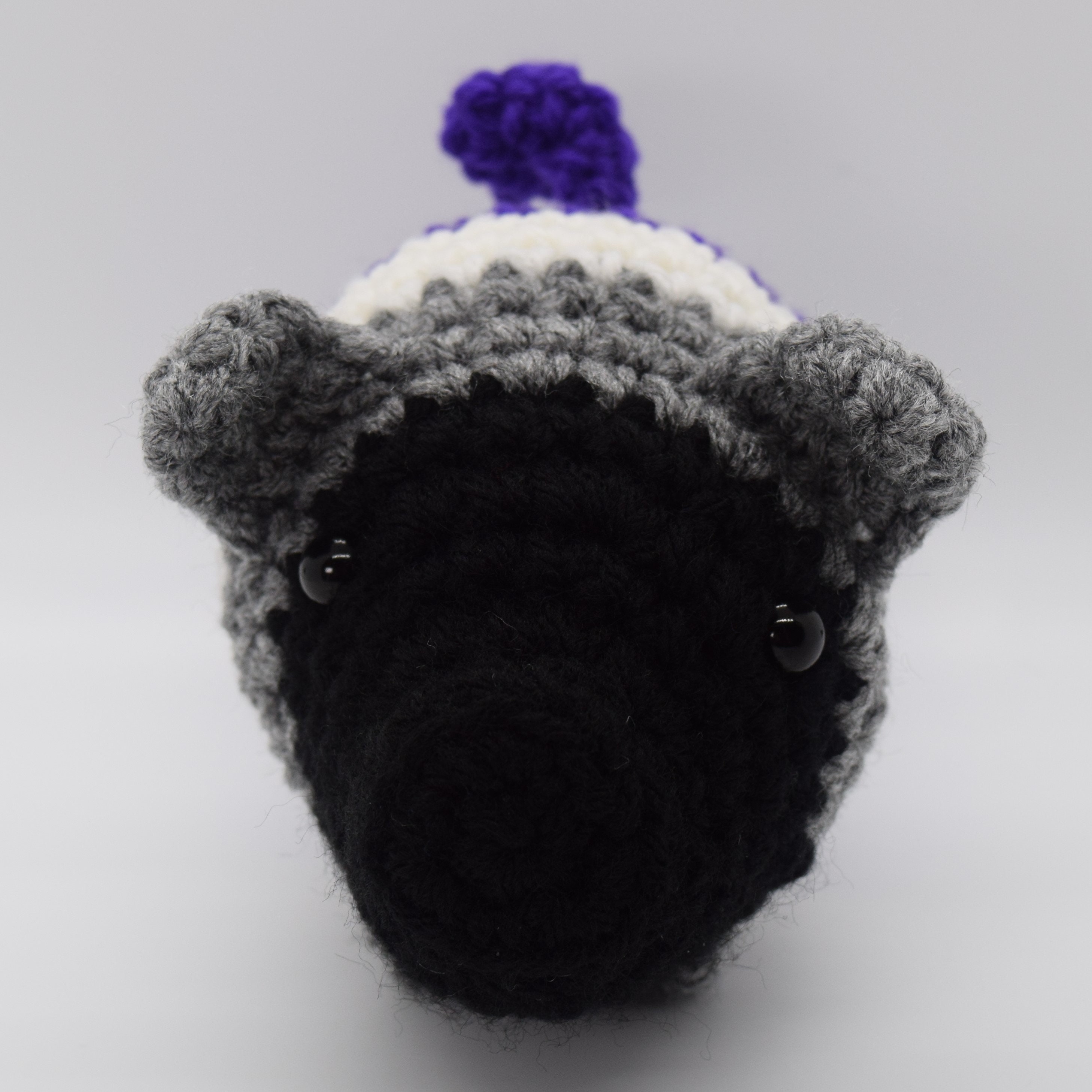 Asexual Pride Pig Crochet Pattern | Etsy