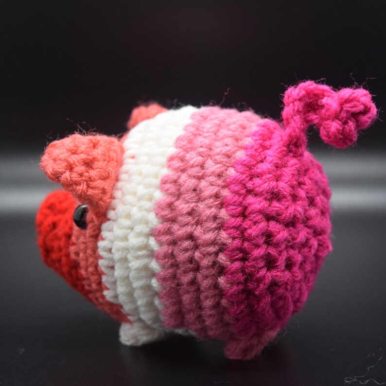 Lesbian Pride Pig Crochet Pattern | Etsy