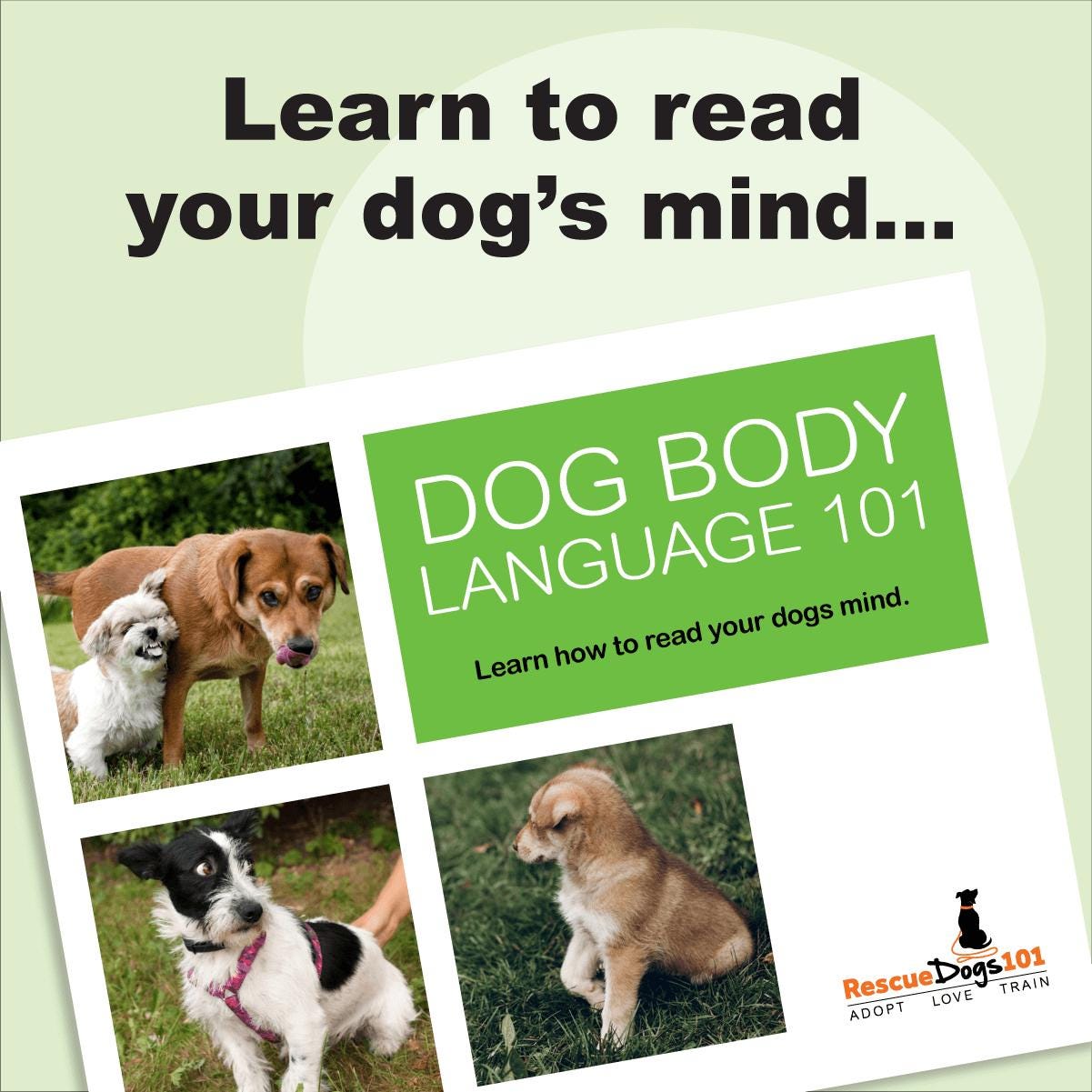 Dog Body Language 101 Guide – Digital Photo Book to Understand Your Dog ...