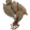 Alligator Pepper, Atare, Grains of Paradise Pods, Guinea Pepper, Mbongo ...