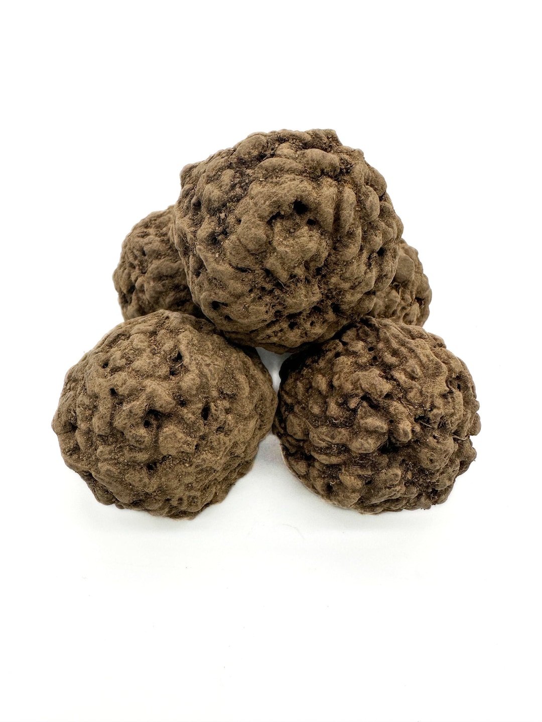 Iku, Eku Ijebu, Osun, Ifa, Santeria, Asoka, Lucumi, Osun Consecration ...