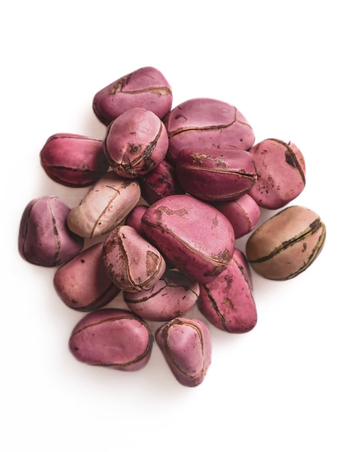 Kola Nut, Obi, Cola Nitida, Kolanut, 4, 5 and 6 Lobe Kola Nut, Cola Nut ...