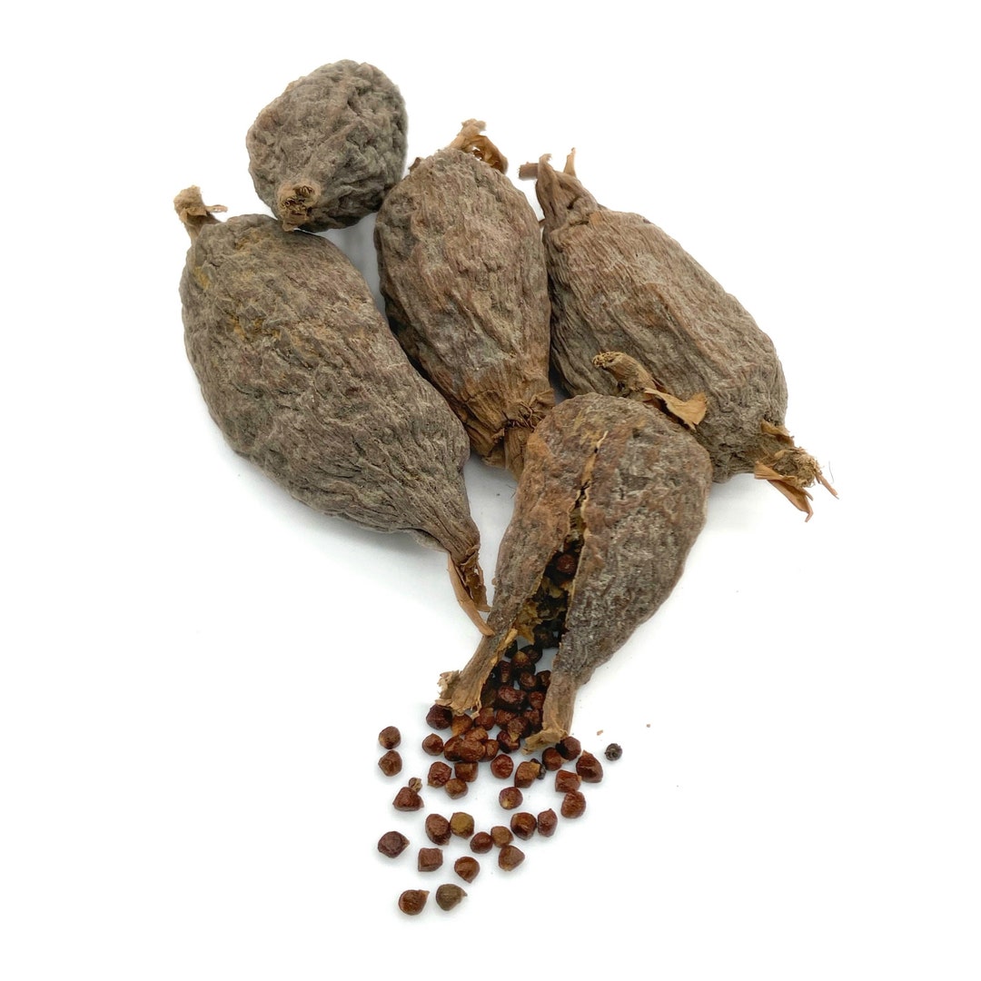 Alligator Pepper, Atare, Grains of Paradise Pods, Guinea Pepper, Mbongo ...