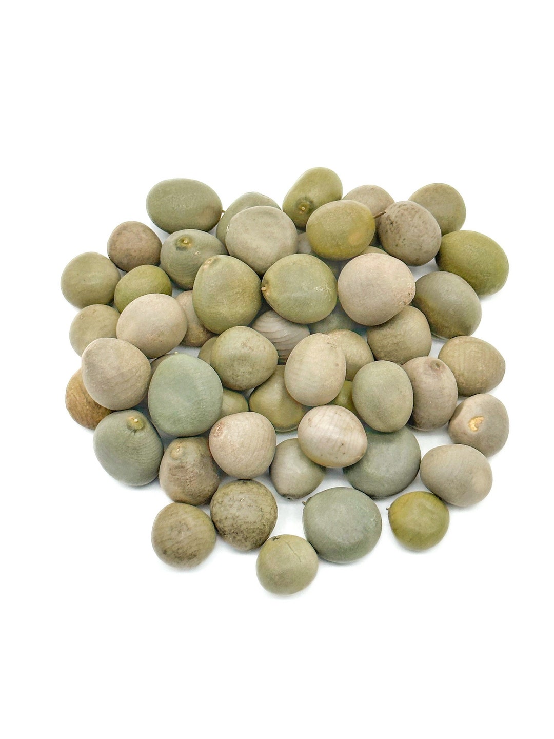 Quita Maldicion Semilla | Shango Refuerzo | Jinx Removing Seeds | Grey ...