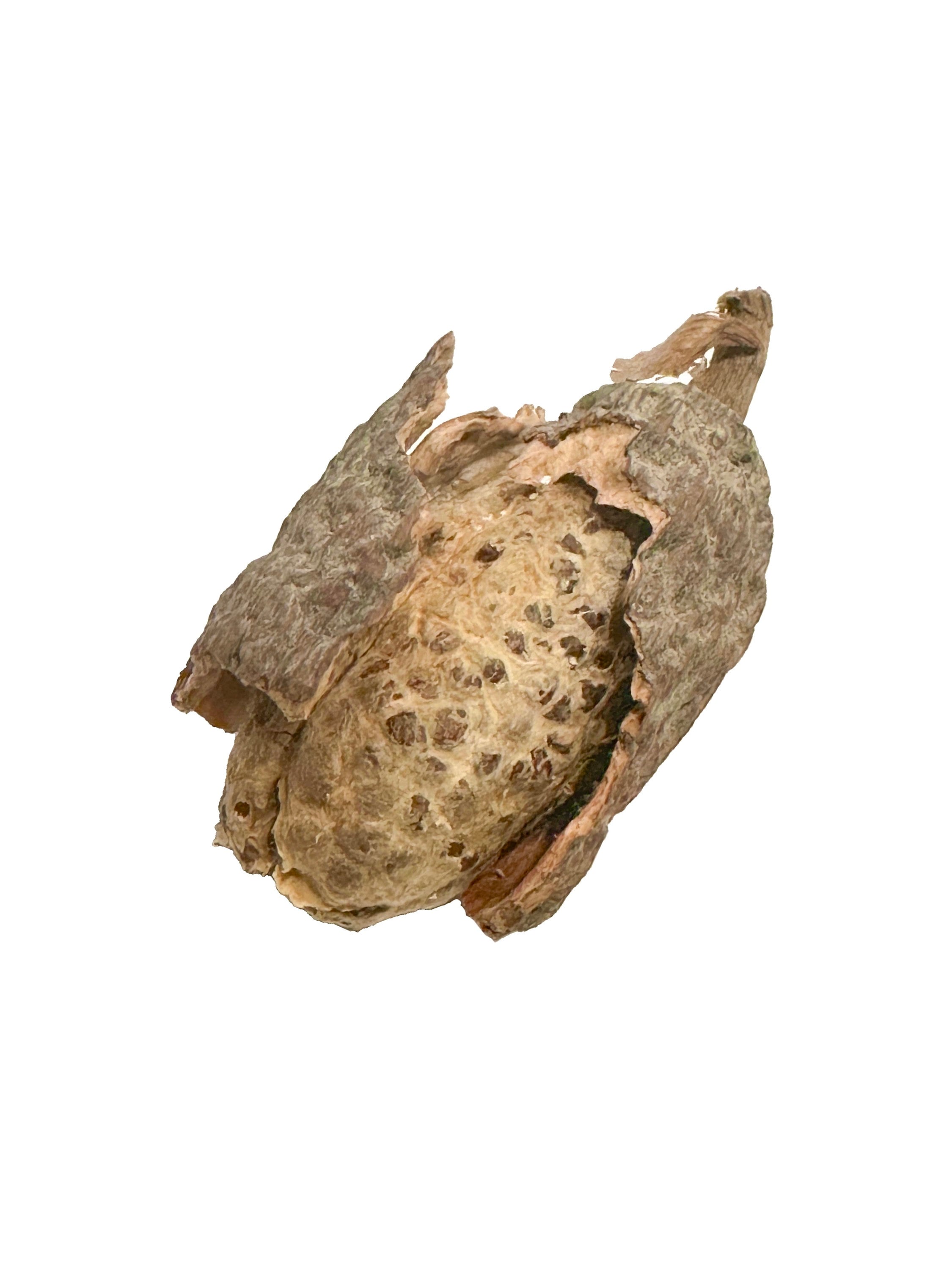 Alligator Pepper, Atare, Grains of Paradise Pods, Guinea Pepper, Mbongo ...