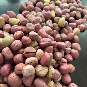 Kola Nut, Obi, Cola Nitida, Kolanut, 4, 5 and 6 Lobe Kola Nut, Cola Nut ...