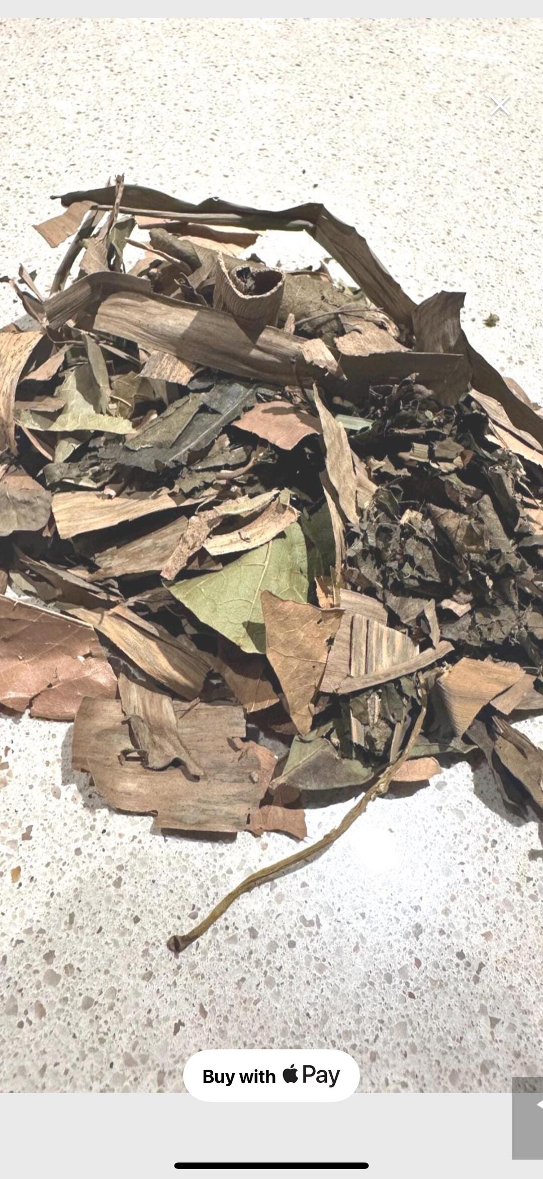 Ewe Ifa. Ifa Sacred Leaves. Ifa Leaves for Preparing Omi Ero or Akose ...