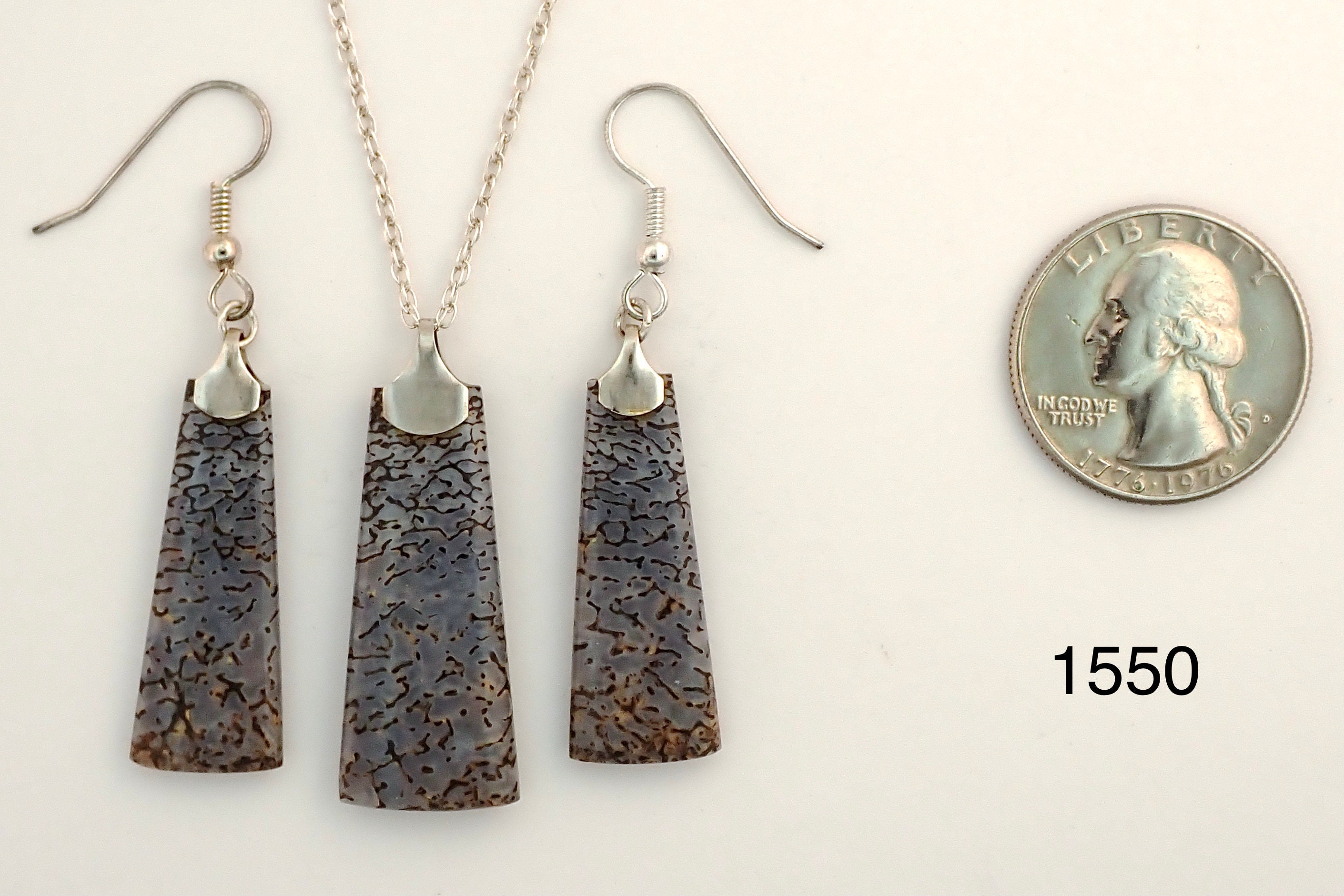 Fossil Dinosaur Bone Collection - Sets of Earrings With Matching ...